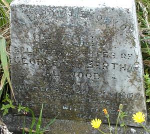 Emma Eliza Newsham and Albert Bayly